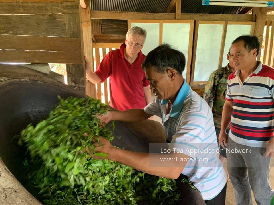 News – Lao Tea Appreciation Network