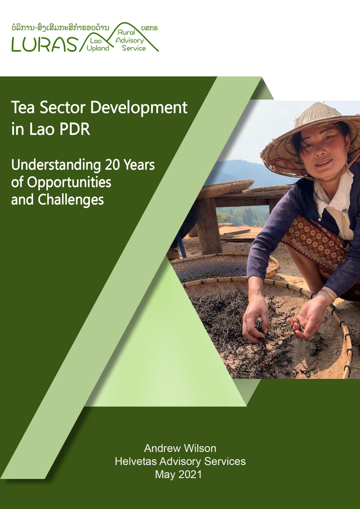 Tea Sector Development in Lao PDR understanding 20 years of ...
